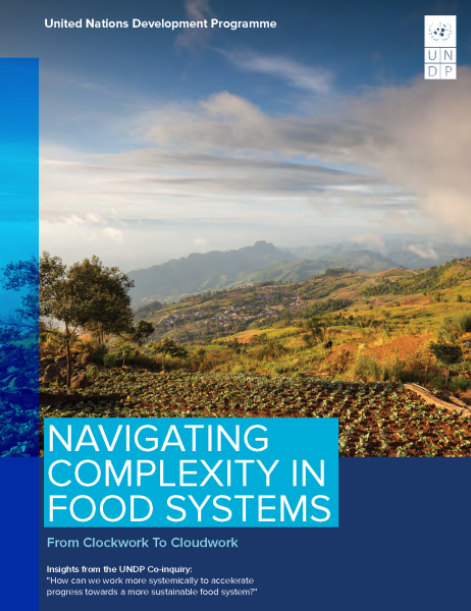 UNDP's call to action on "Navigating Complexity in Food Systems: From Clockwork To Cloudwork ...